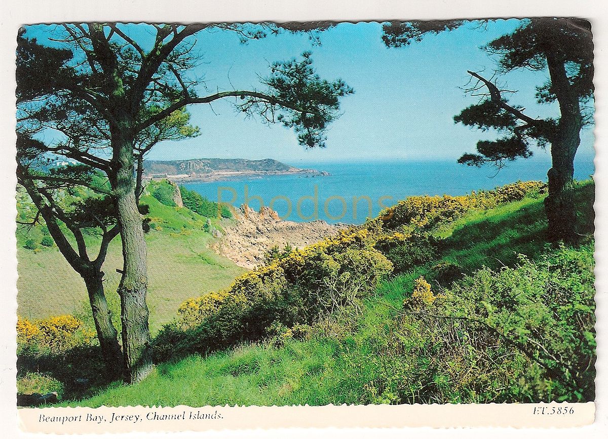 Jersey Postcards For Sale | Rhodons Postcards