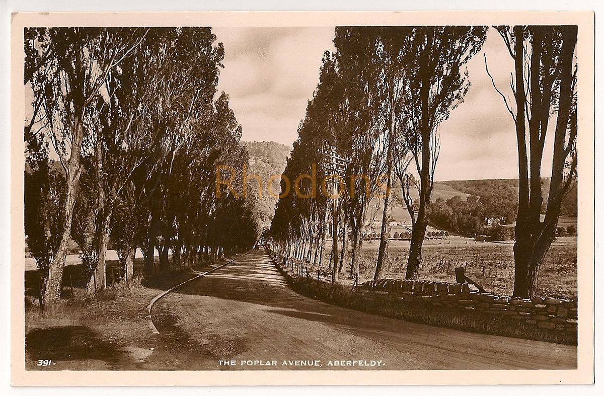Pitnacree Ferry, Strathtay Early 1900s Real Photo Postcard