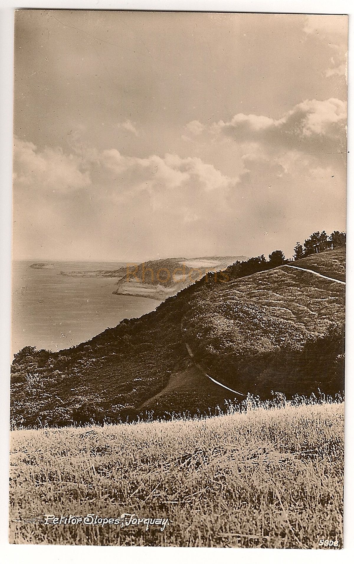 Devon Postcard-Petitor Slopes, Torquay Devon-Real Photo | Rhodons Postcards