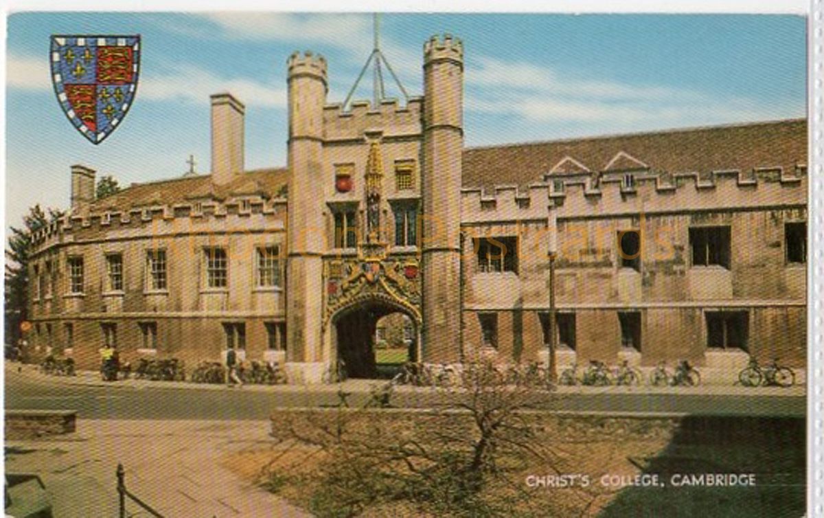 Trinity Hall, Cambridge - Colour Photo Postcard