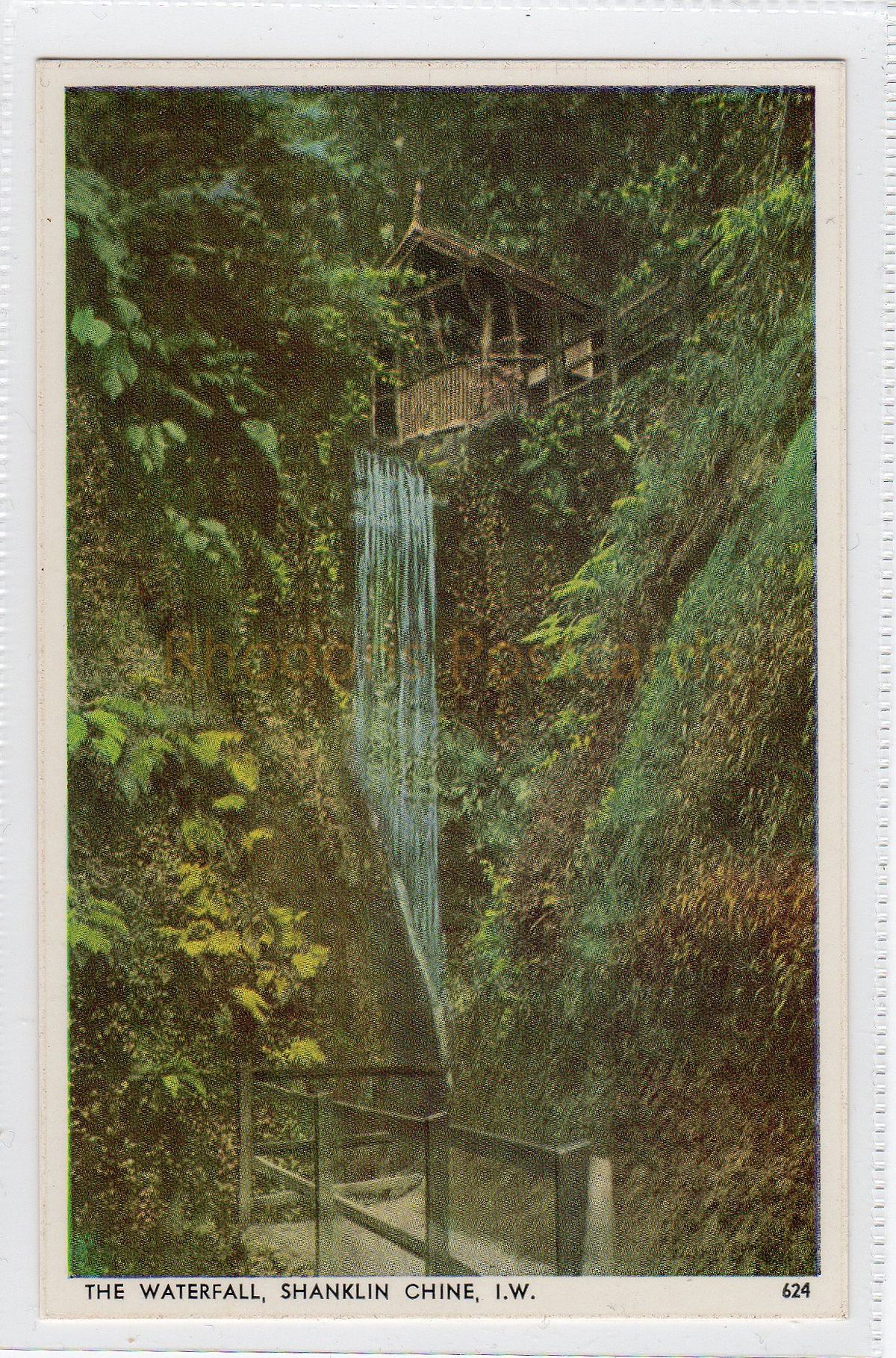 The Waterfall, Shanklin Chine Isle of Wight Postcard | Rhodons ...