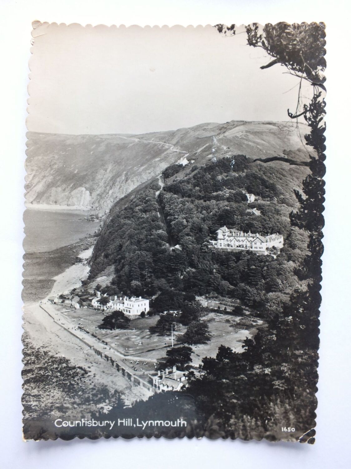 Devon Postcard-Countisbury Hill Lynmouth Devon-RPPC | Rhodons Postcards
