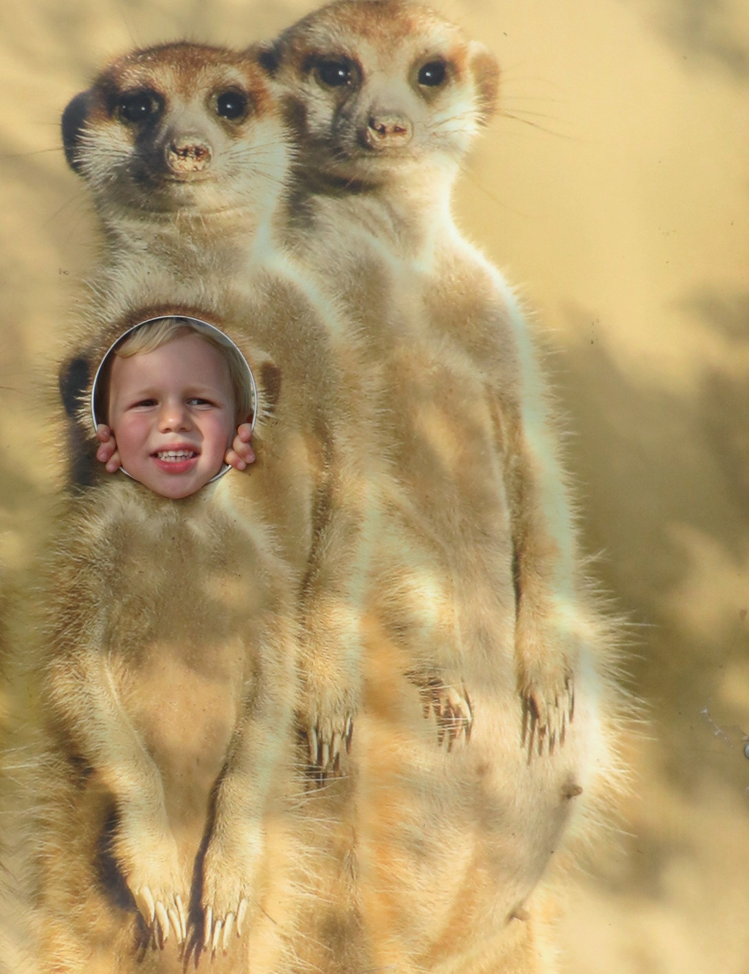 There's so much to do at Marwell Zoo! - Blog