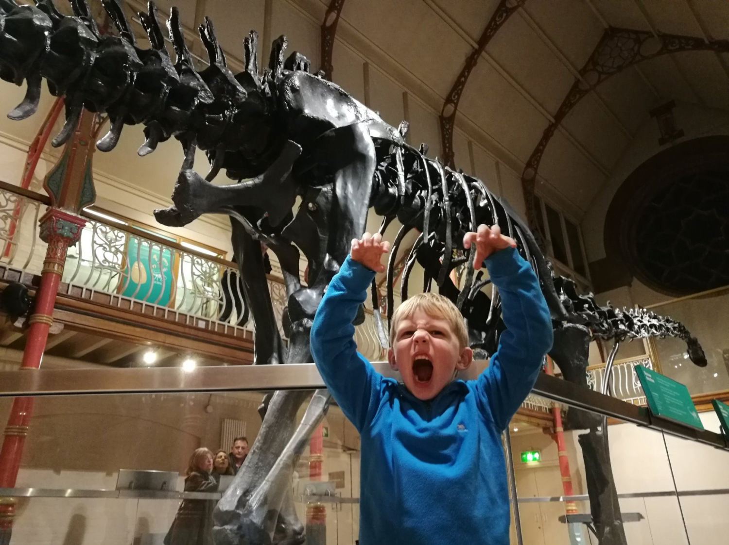 Dippy the Diplodocus has arrived in Dorset! - Blog