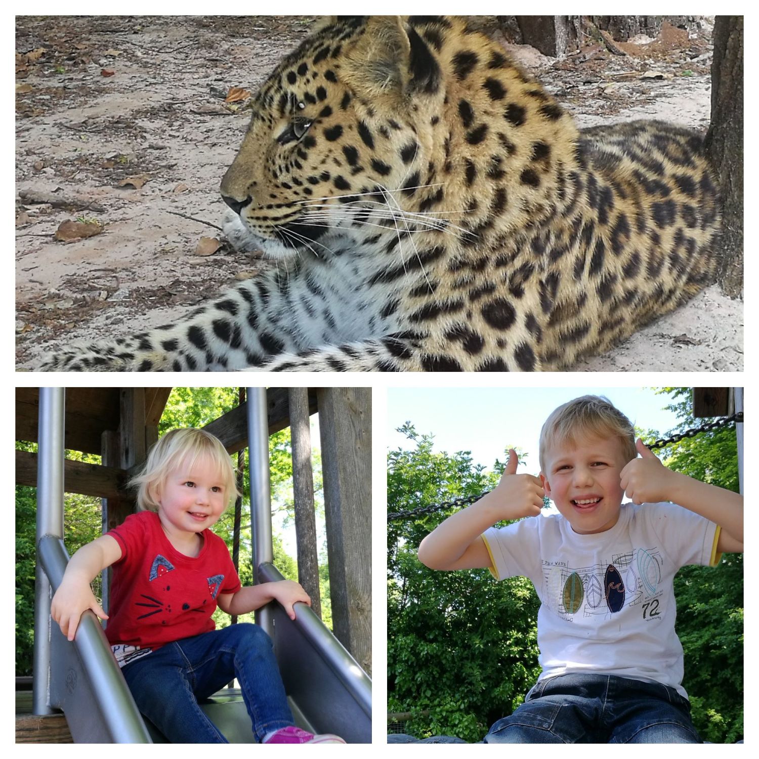 Exploring the new Tropical House at Marwell Zoo - Blog