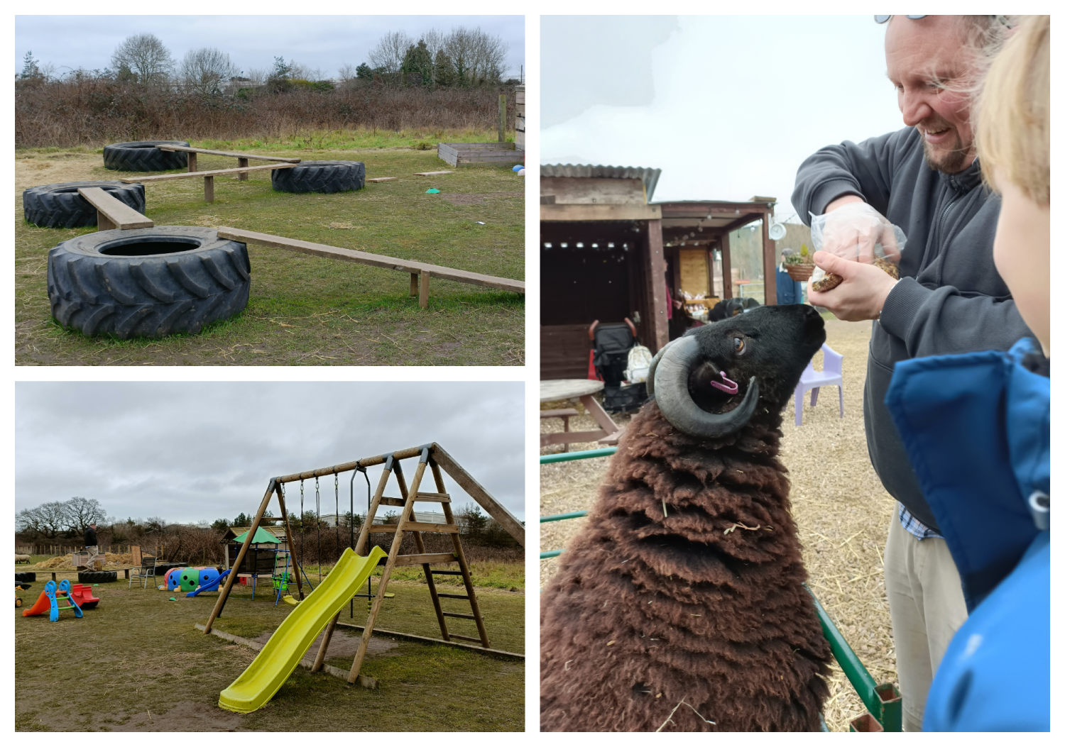 Our visit to Nick's Farm in Bournemouth