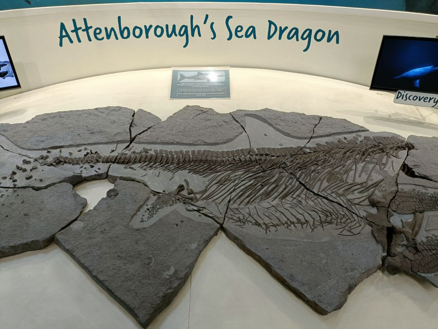 Charmouth Heritage Coast Centre and Beach