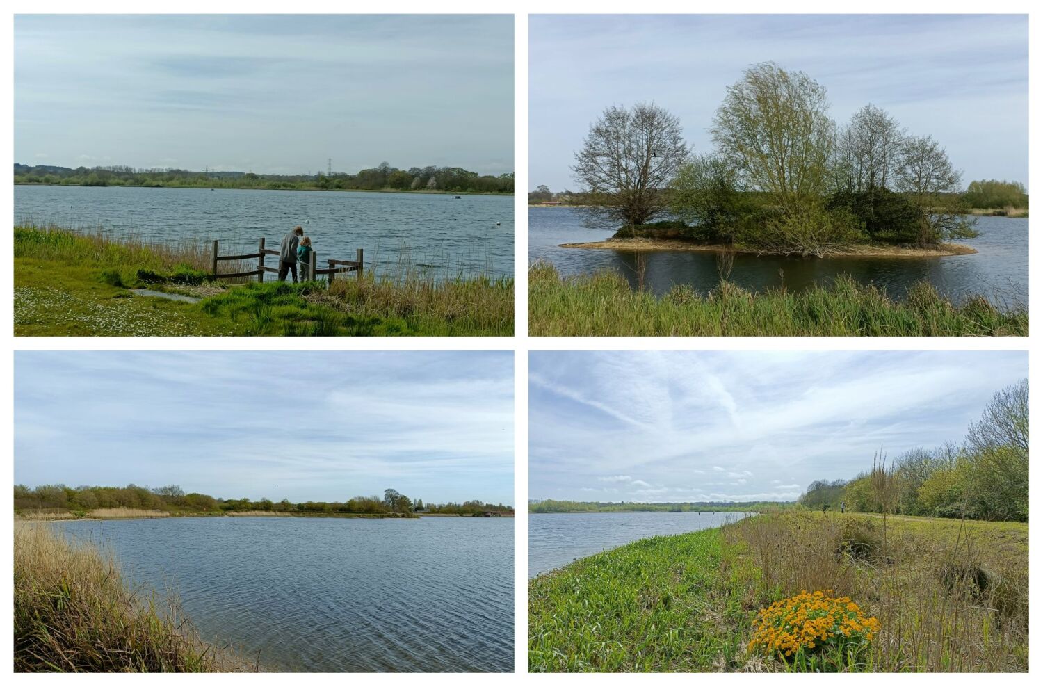 Longham Lakes Circular Walk