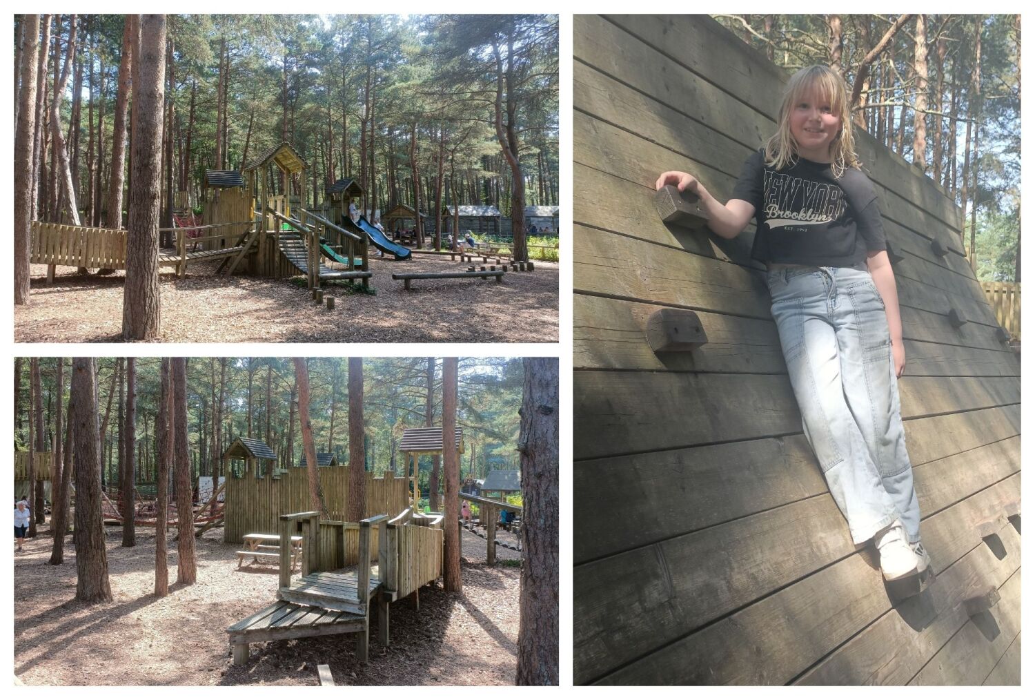 The Alpine Adventure Park at Snowtrax