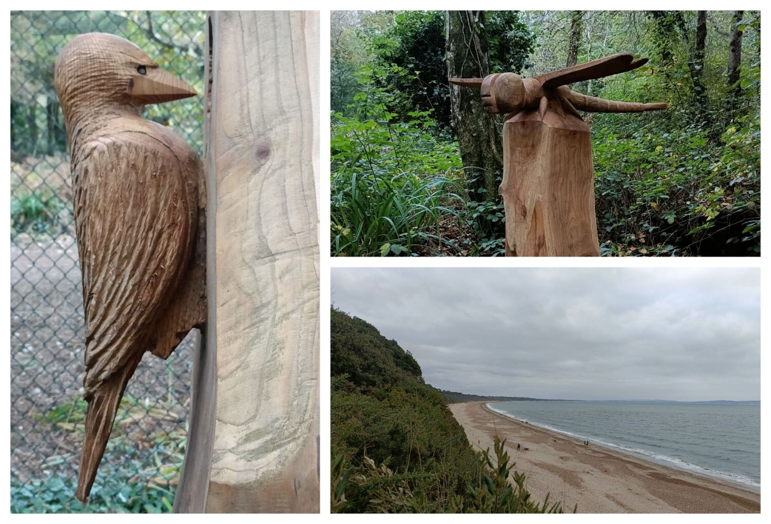 Steamer Point Nature Reserve