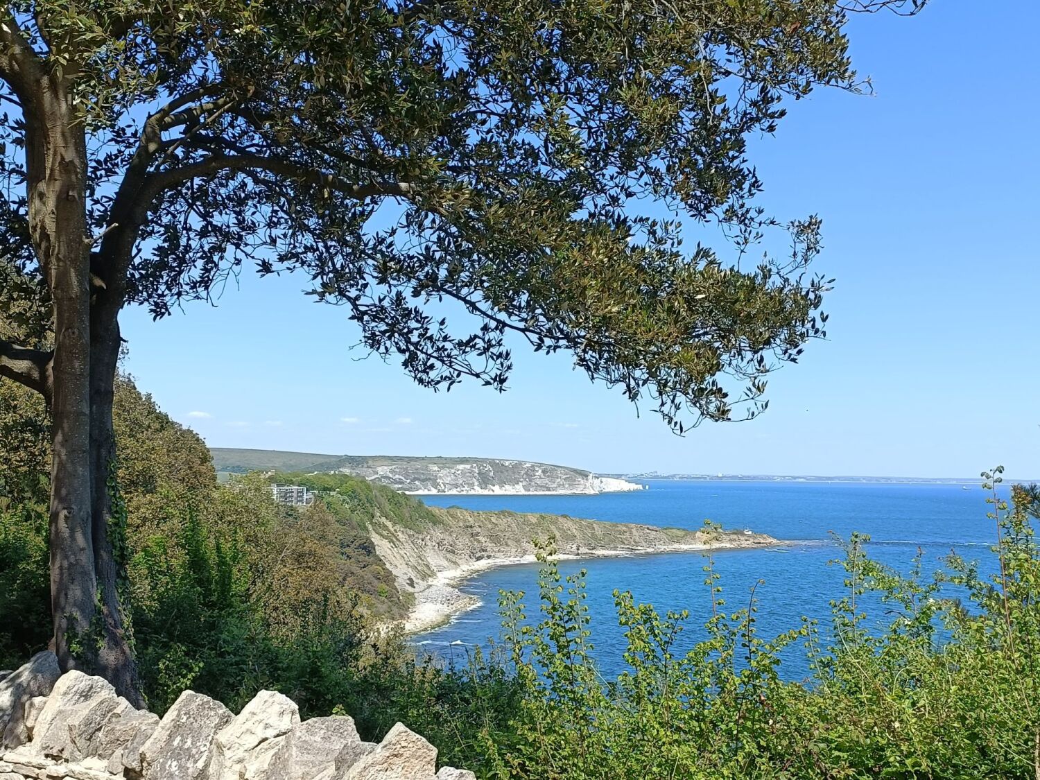 Durlston Country Park to Swanage Town Circular Walk