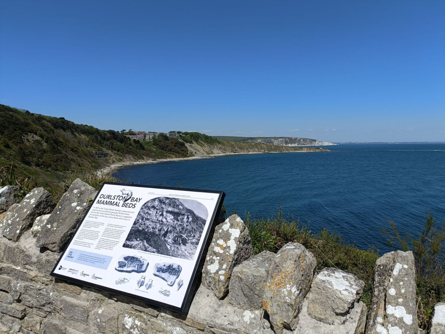 Durlston Country Park to Swanage Town Circular Walk