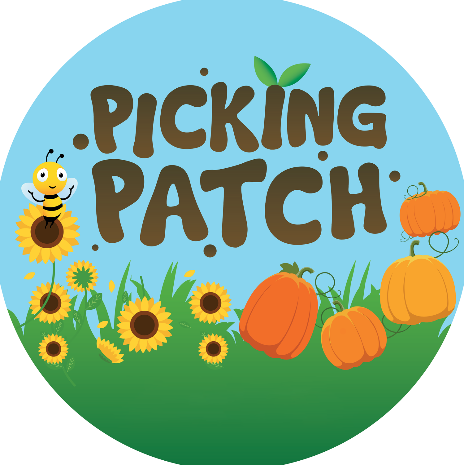 Pumpkin Picking Patches in Dorset