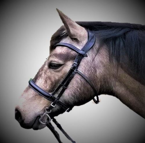 Anatomical bridles | Comfort Bridles | HS Saturn