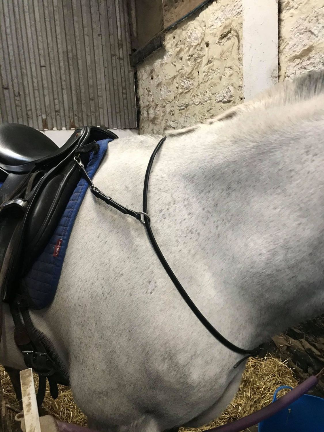 Neckstrap for Horse with saddle attachment fixing point