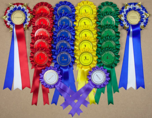 Mini Winner/Clear Round/Well Done Rosettes x 10 Assorted