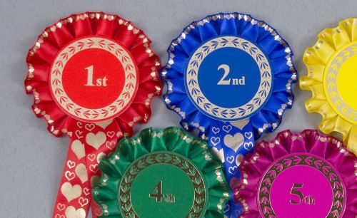 Complete Show Set - 44 LARGE Personalised Rosettes