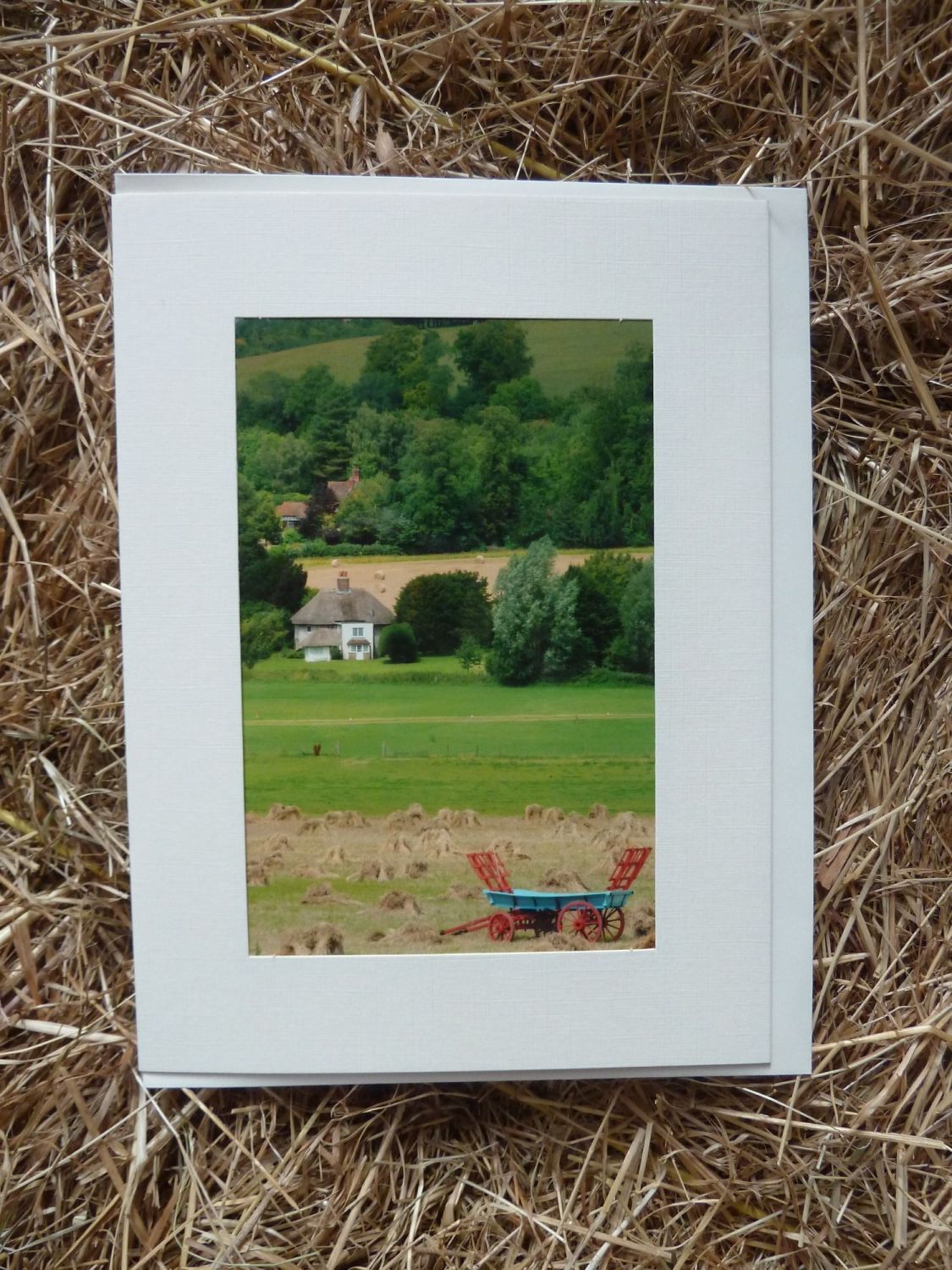 Hay Cart in Stook Field at Weald & Downland Museum West Sussex