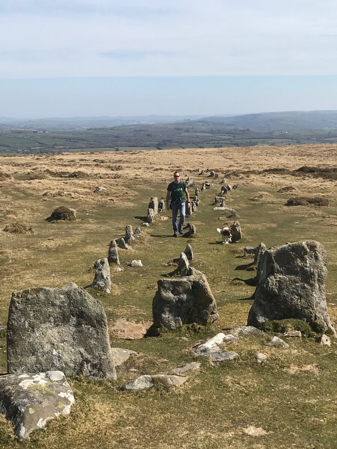 Dartmoor Ramble