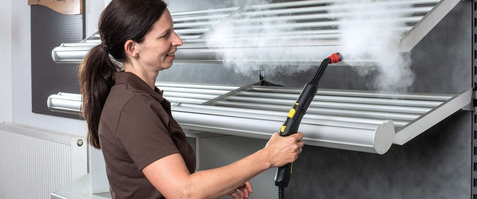 Best Practices for Using Dry Steam Cleaners in Food Processing - Blog