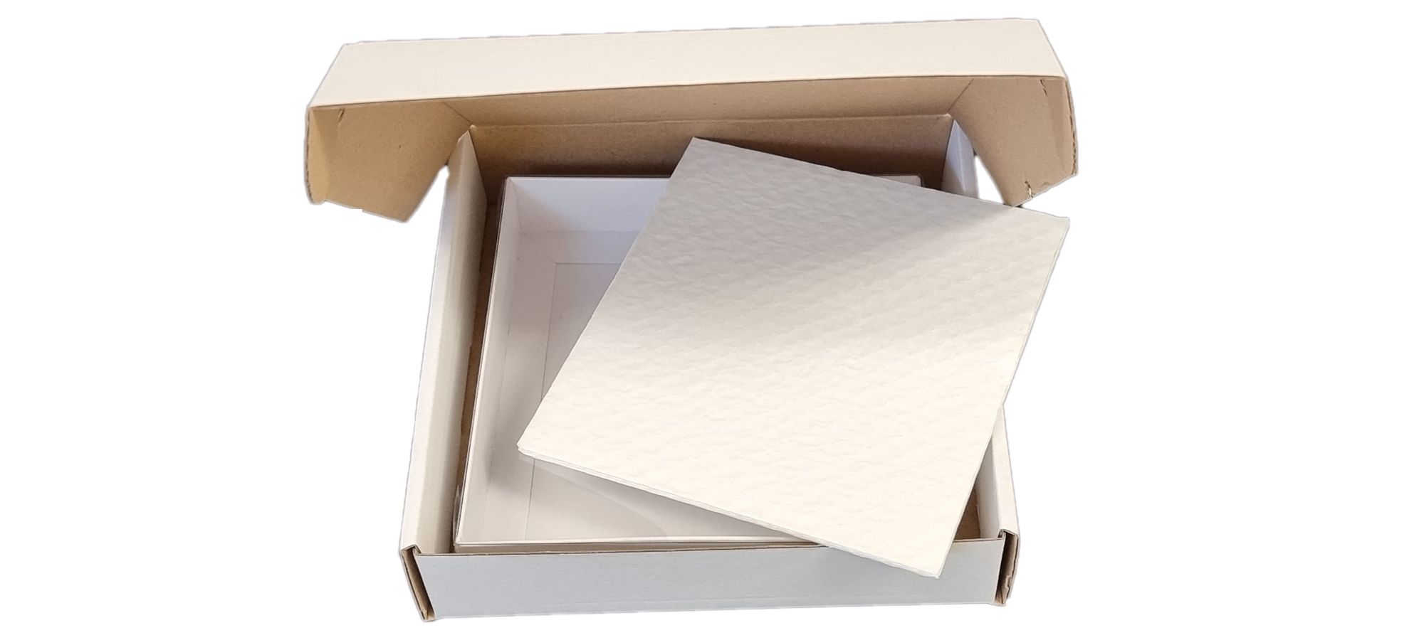 White Postal Packaging with 6pk insert - Elite Packaging Company Ltd