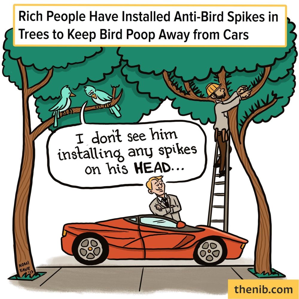 Bird mess/lime – The Clay Cloth Company™