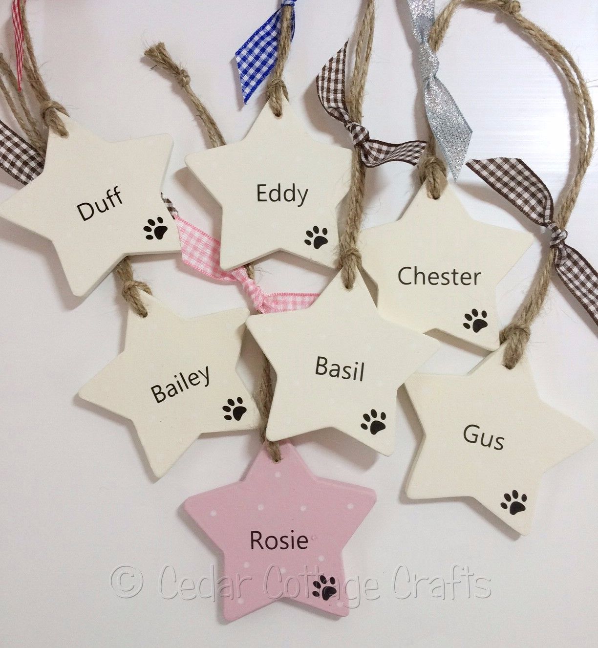Personalised Pet Star
