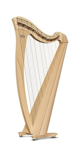 Welcome to the Harp Studio