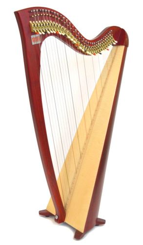 Welcome to the Harp Studio