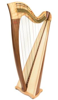 Welcome to the Harp Studio