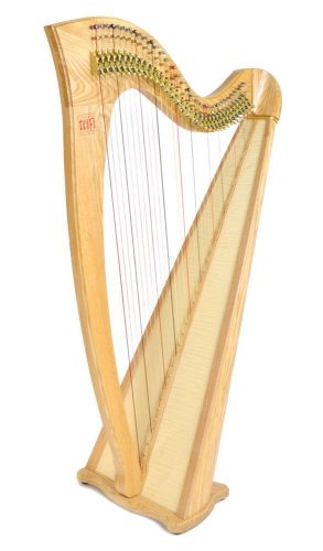 Welcome to the Harp Studio