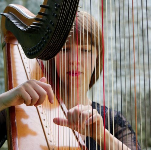 Technical & Orchestral - Harp Shop, Harp Strings, Bow Brand Strings ...