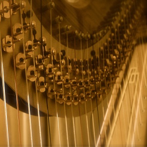 Welcome to The Harp Studio