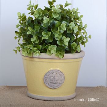 Perfect small Plant Pots, Jugs & Vases for the Home to display your ...