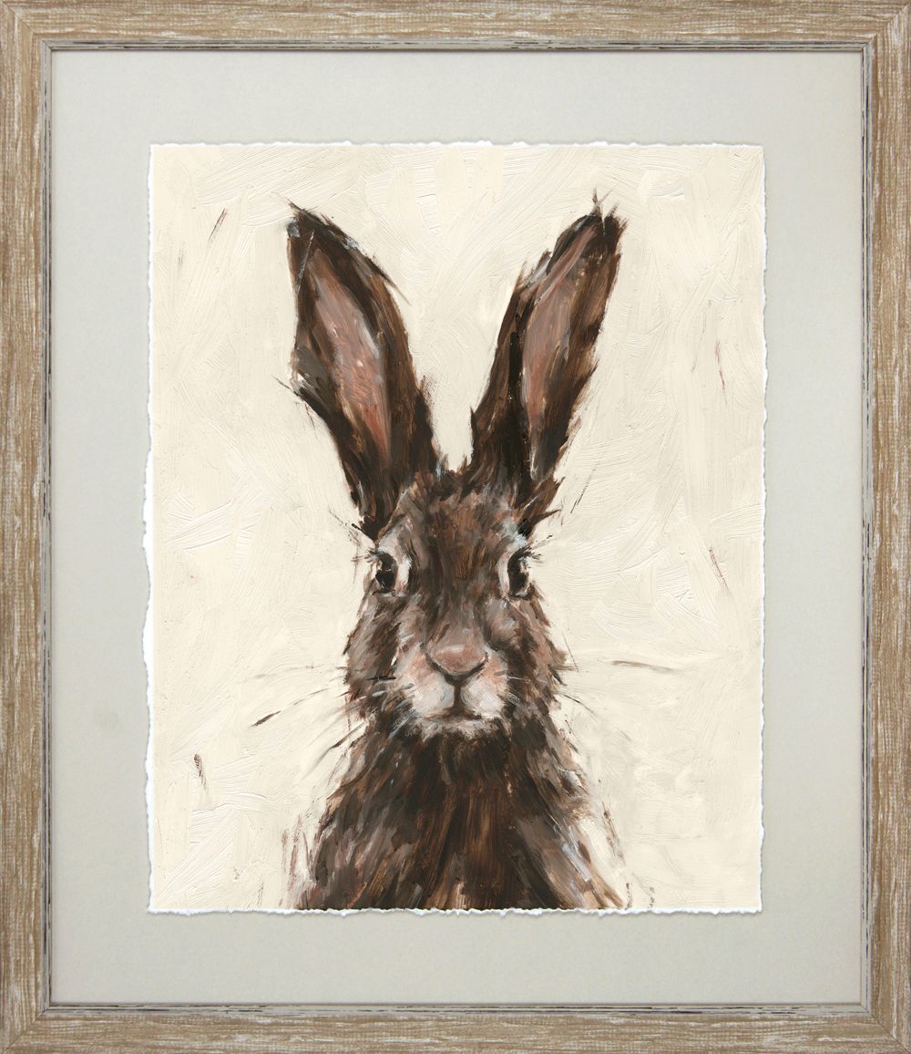 Brown Hare I Framed Print - Glazed and ready to hang, animal wall art ...