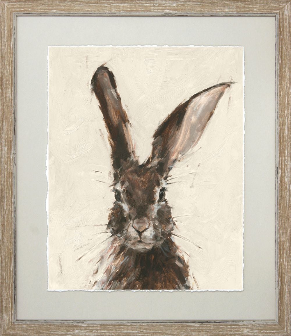 Brown Hare II Framed Print - Glazed and ready to hang, animal wall art ...