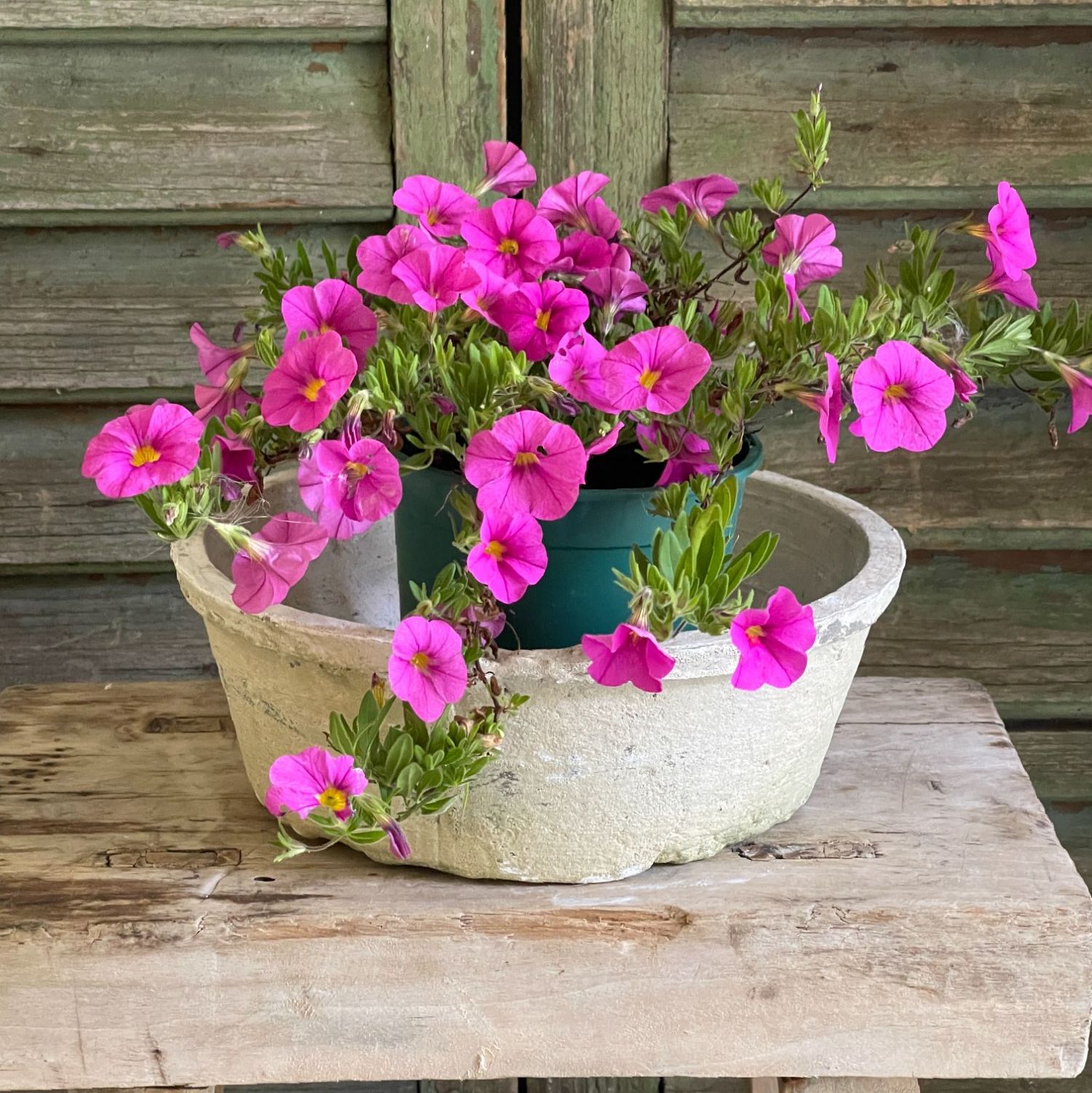 Vintage Whitestone Terracotta Medium size Dish Bulb Planter Plant Pot ...