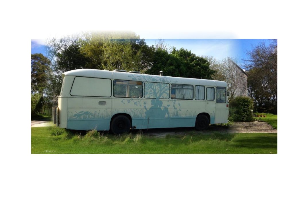 magic bus detailed information