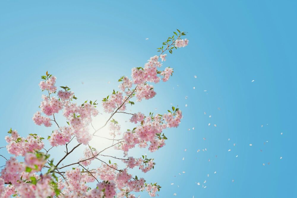 Sun Awareness Week