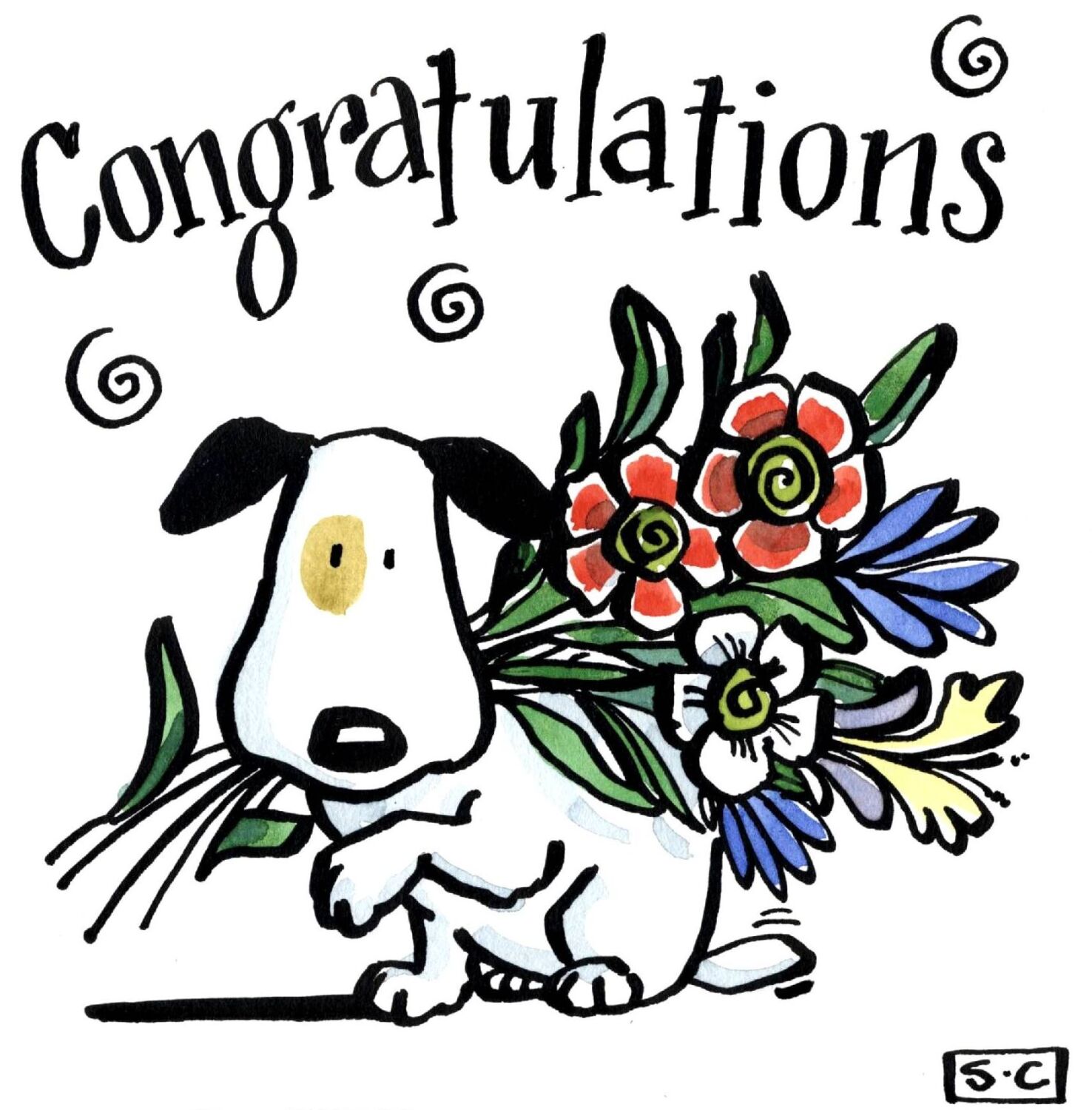 Congratulations Card & Well Done Card | Stephen Cocker Card