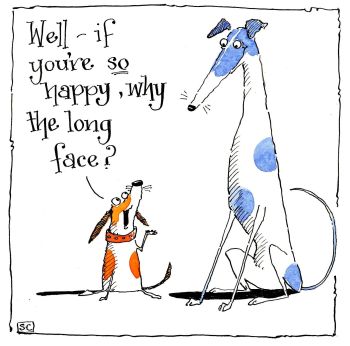 Funny Greetings | Stephen Cocker Cards