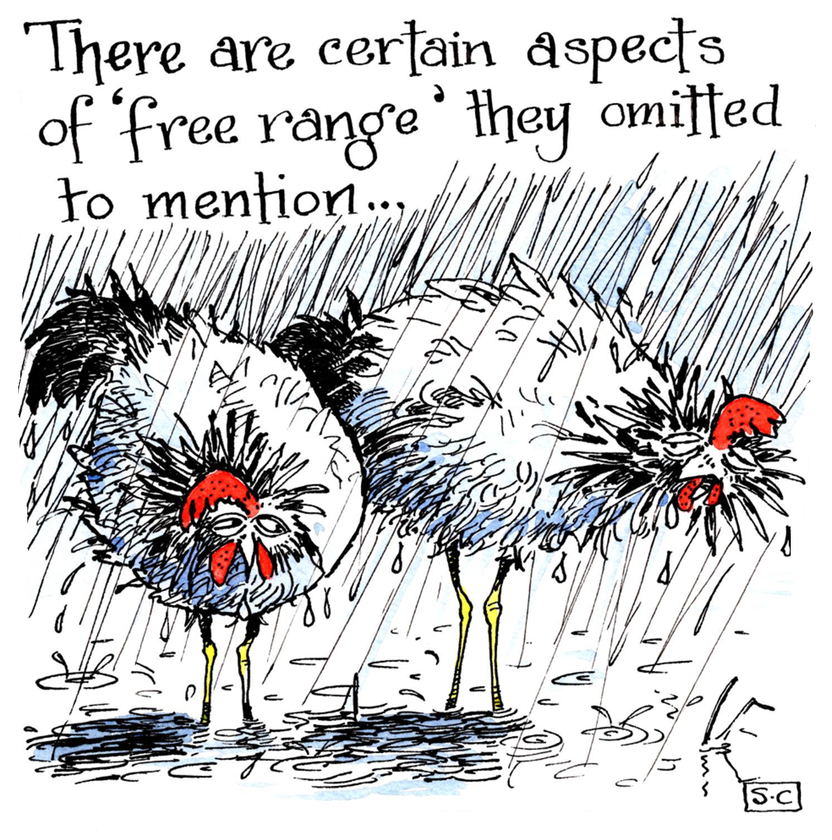 Free Range Hen Birthday Card | Stephen Cocker Cards