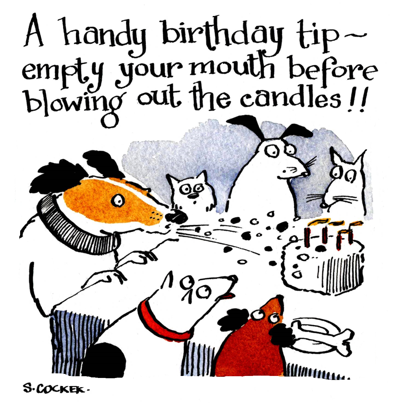 Dog Themed Birthday Card ! Stephen Cocker Cards