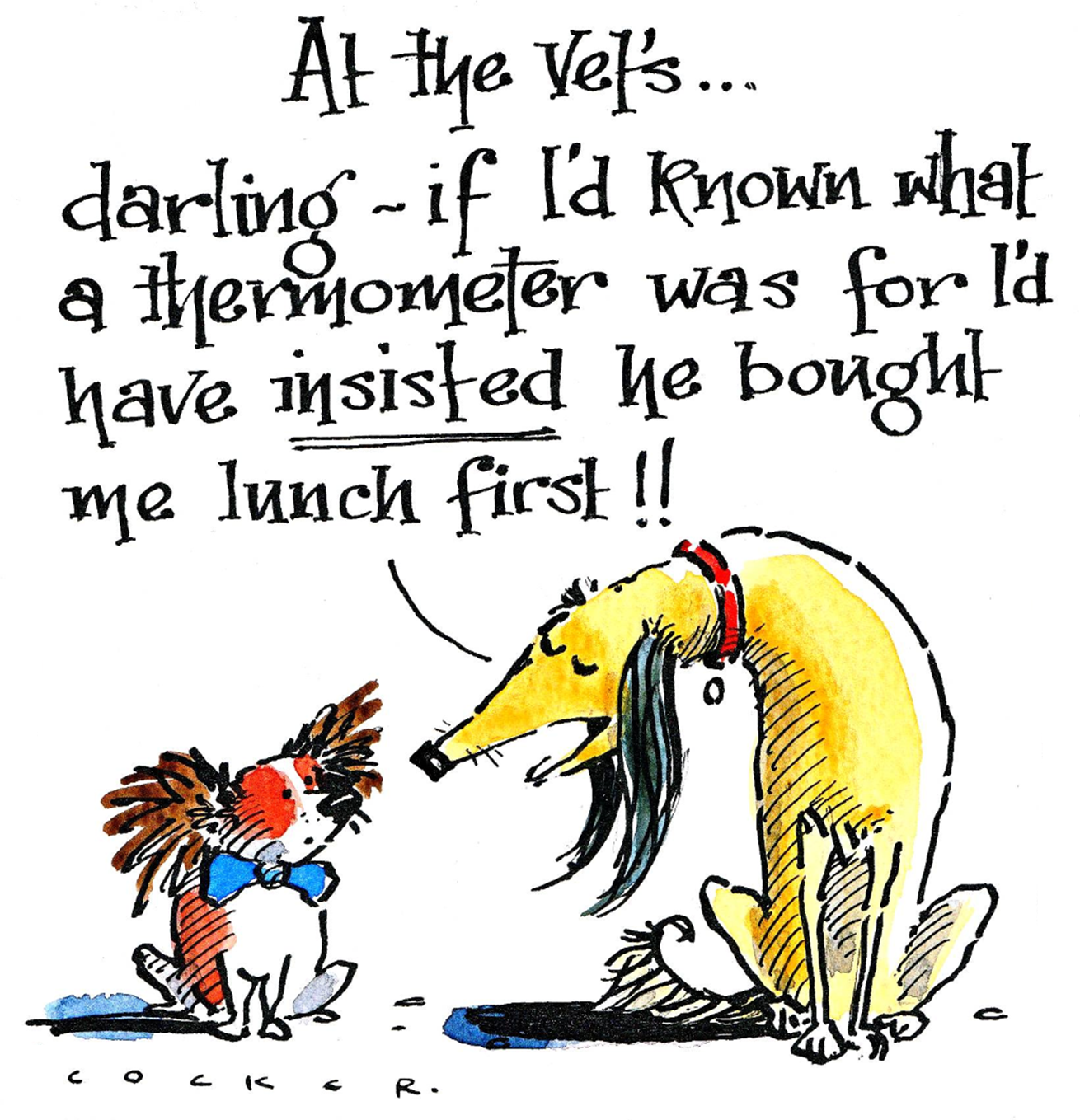 Saluki Card | Stephen Cocker