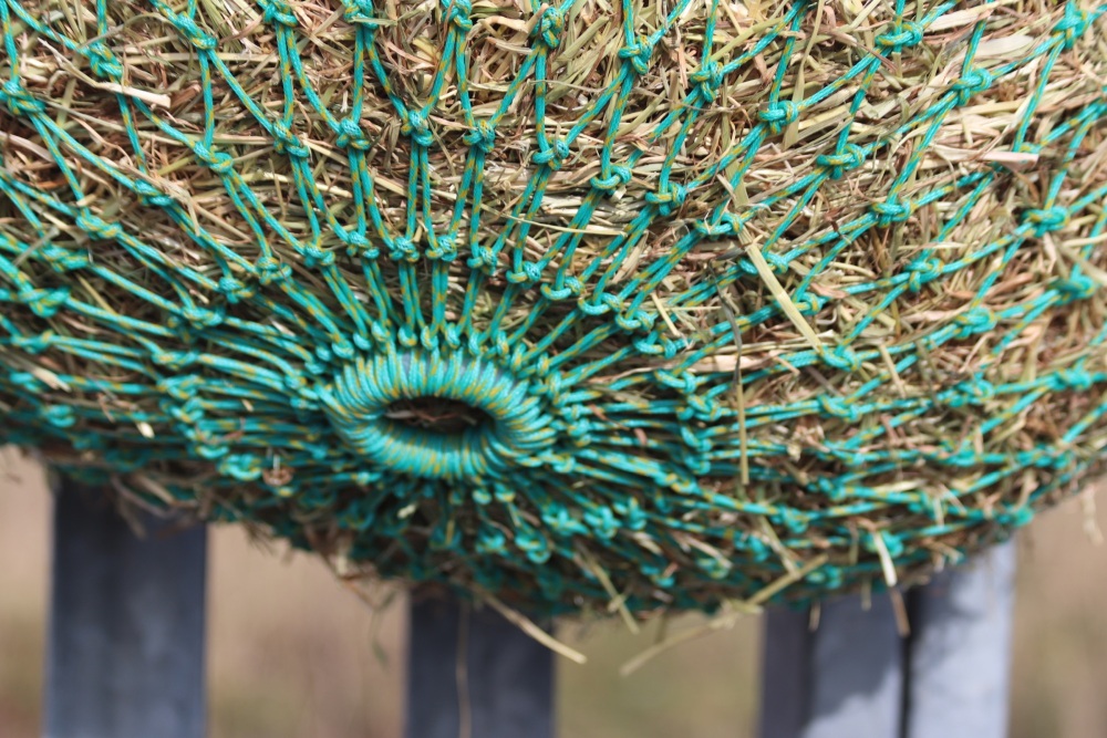 28inch pony net 35mm mesh