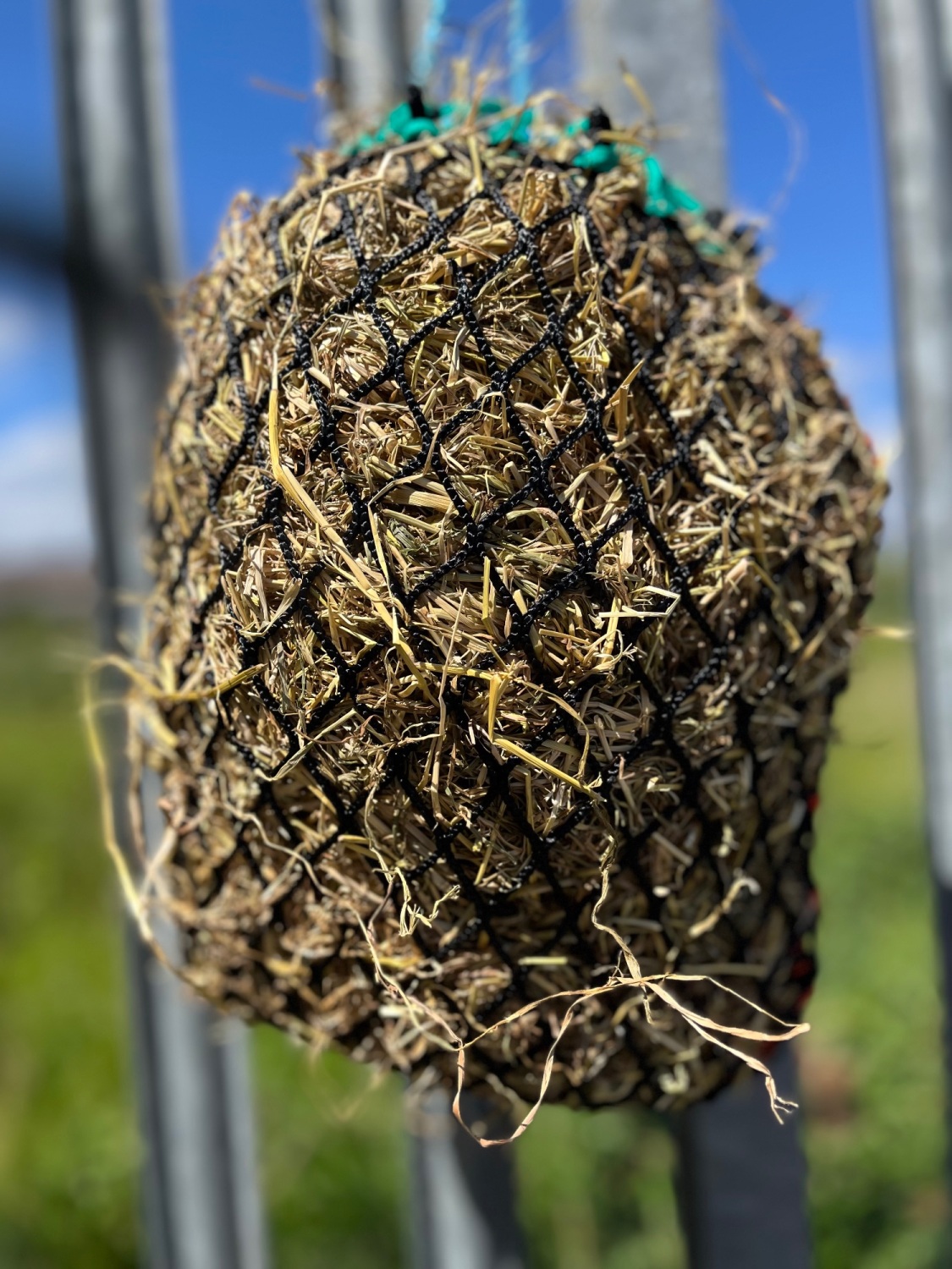 Blue Knotless mini net slow feeder