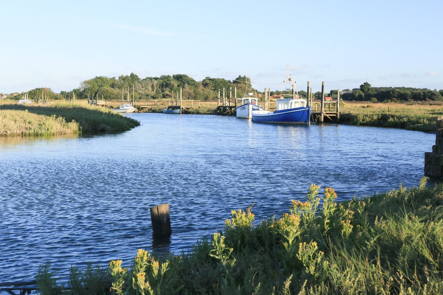 Norfolk Landscape gallery