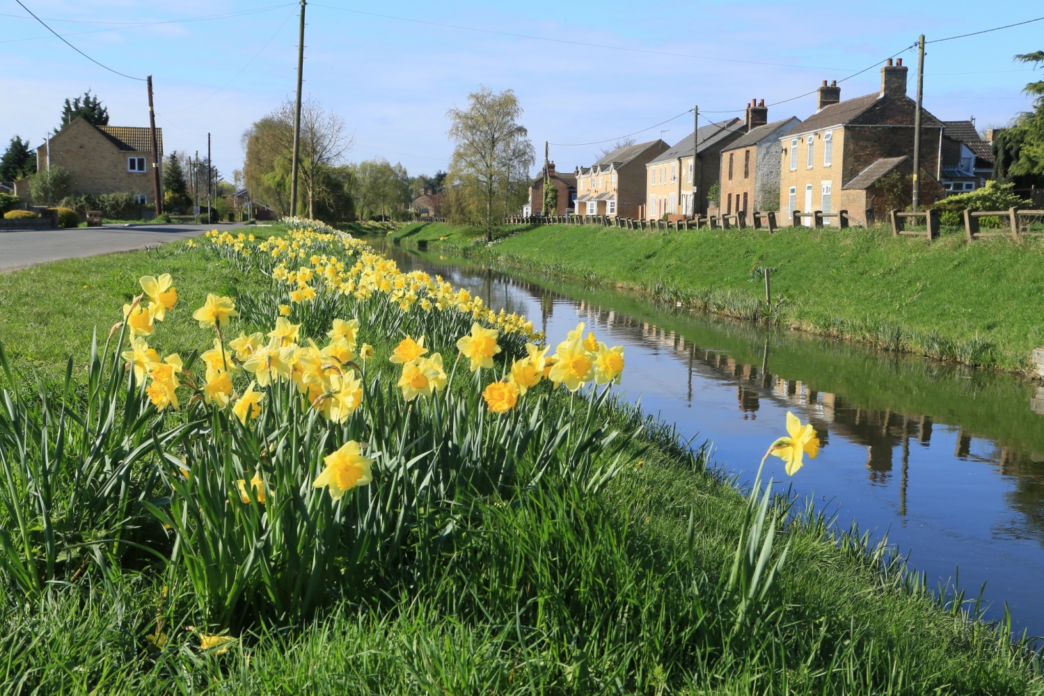 Norfolk Landscapes continued