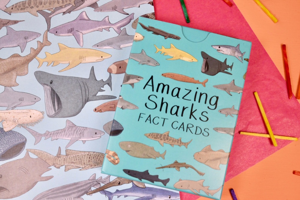 Amazing Sharks Educational Fact Cards - Learn Through Play