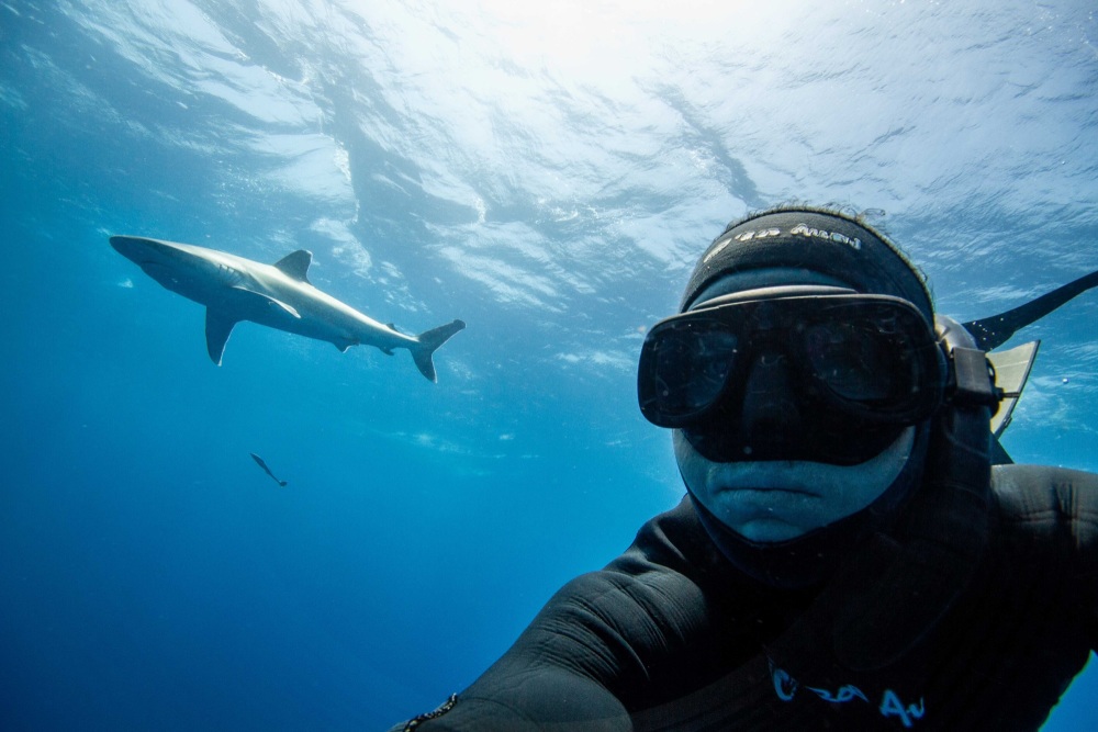 working with wildlife - an interview with Justin Blake